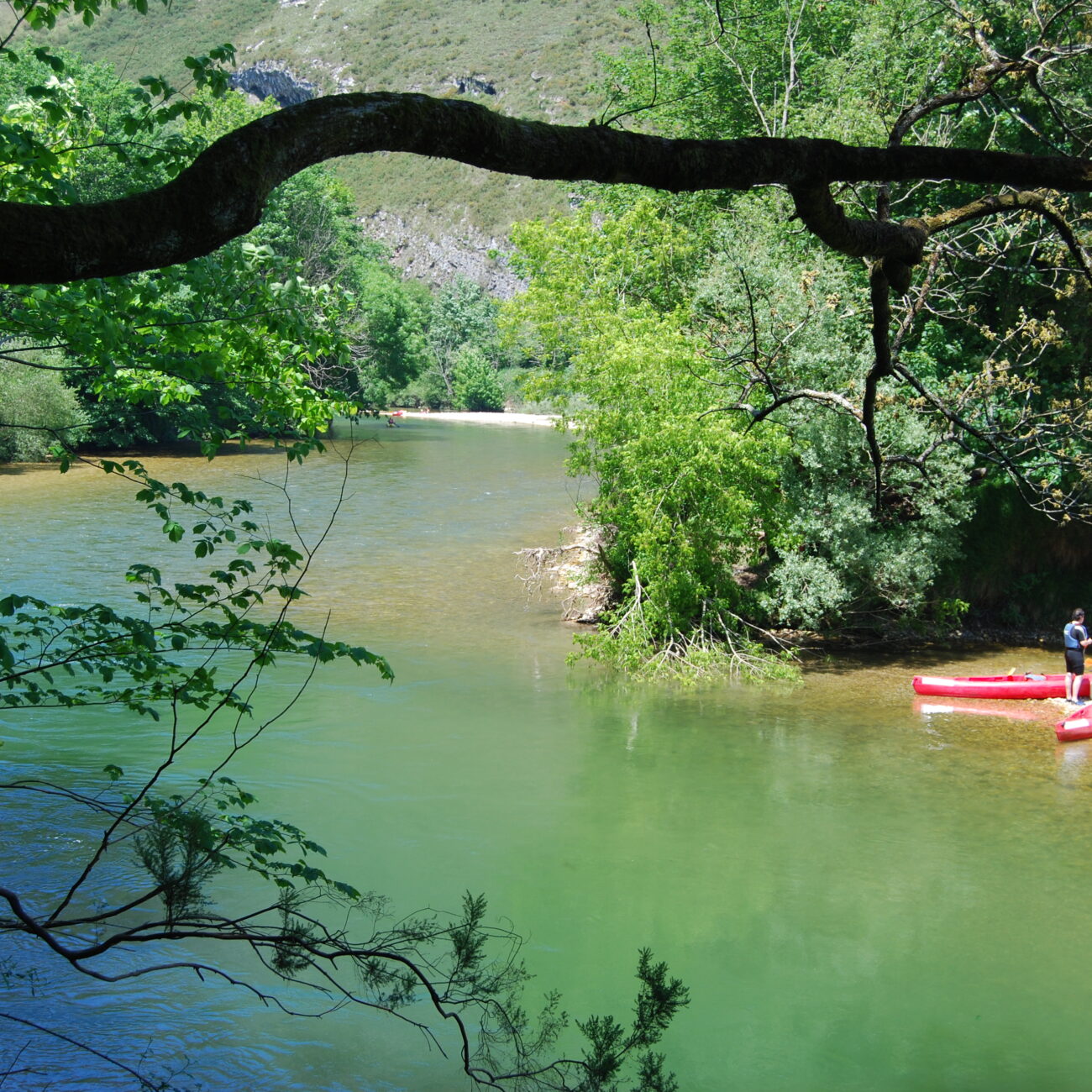 Canoas, kayaks y piraguas en Asturias. Expediciones con rutas por río y ...